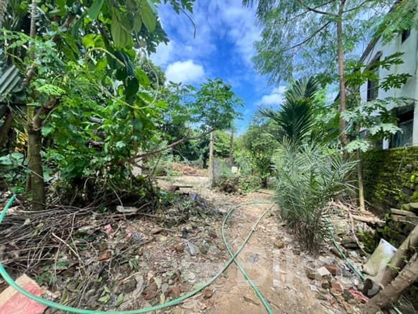 জায়গা বিক্রি করা হবে - Cornelhat | Bikroy