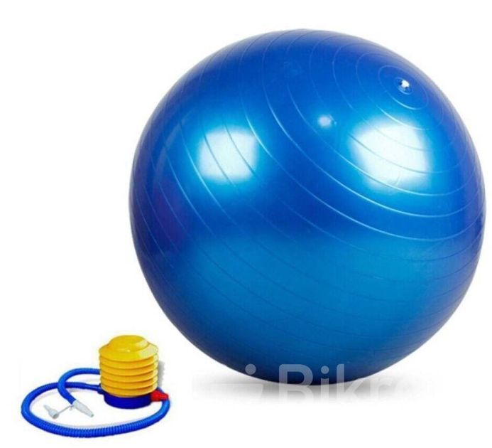 Anti Burst Gym Massage Exercise And Fitness Ball 65cm With Pump For