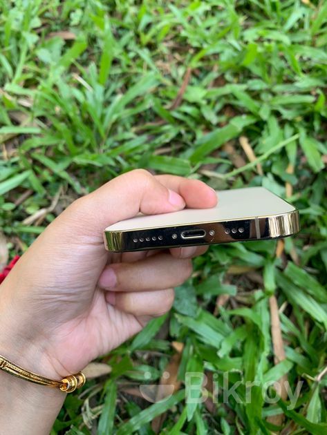 Apple iPhone 13 Pro iphon (Used) for Sale in Dhanmondi | Bikroy