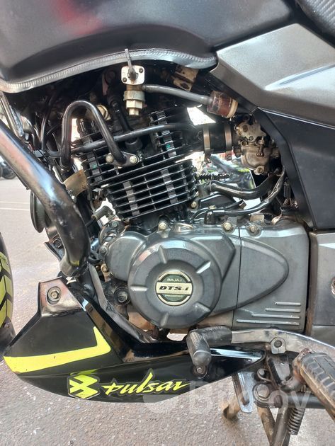 Bajaj Pulsar 150 SD 2019 for Sale | Mirpur | Bikroy