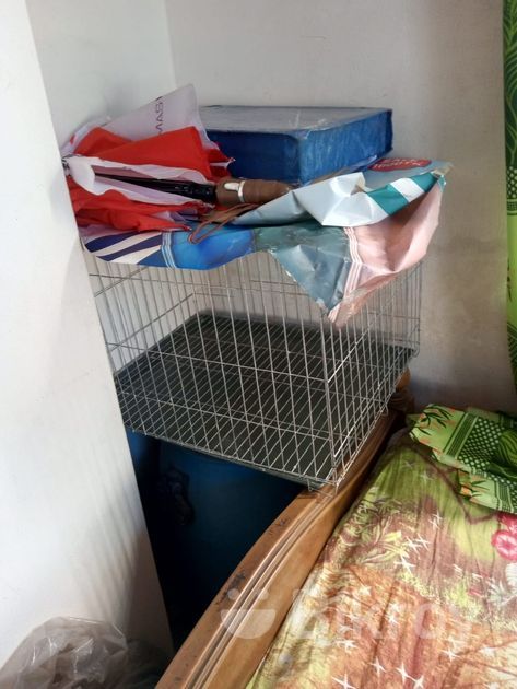 Big Size Kobutor Khaca for Sale in Agrabad | Bikroy