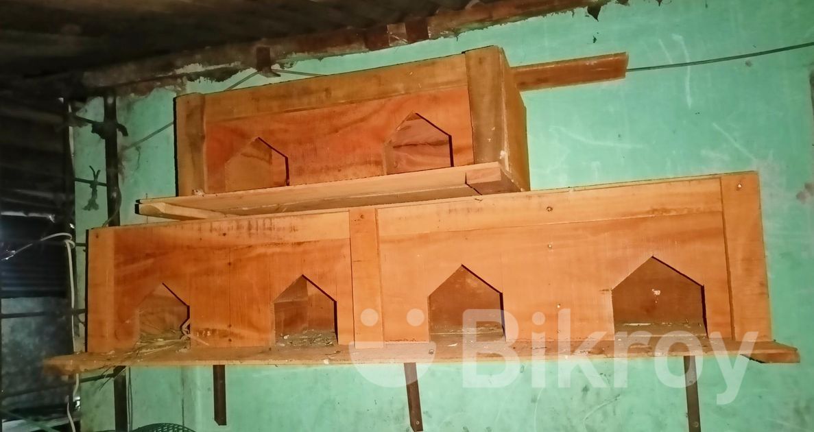 Kobutor khop in Naumahal | Bikroy