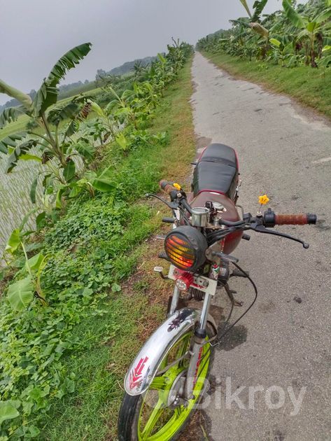 Runner Freedom . 2015 | Jhenaidah | Bikroy