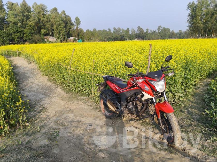 Honda Hornet 2018 red for Sale | Mirpur | Bikroy