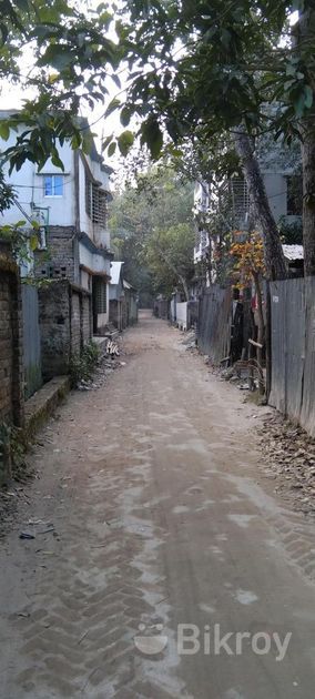 জমি বিক্রি ১৯ শতাংশ ফরিদপুর। - Faridpur | Bikroy