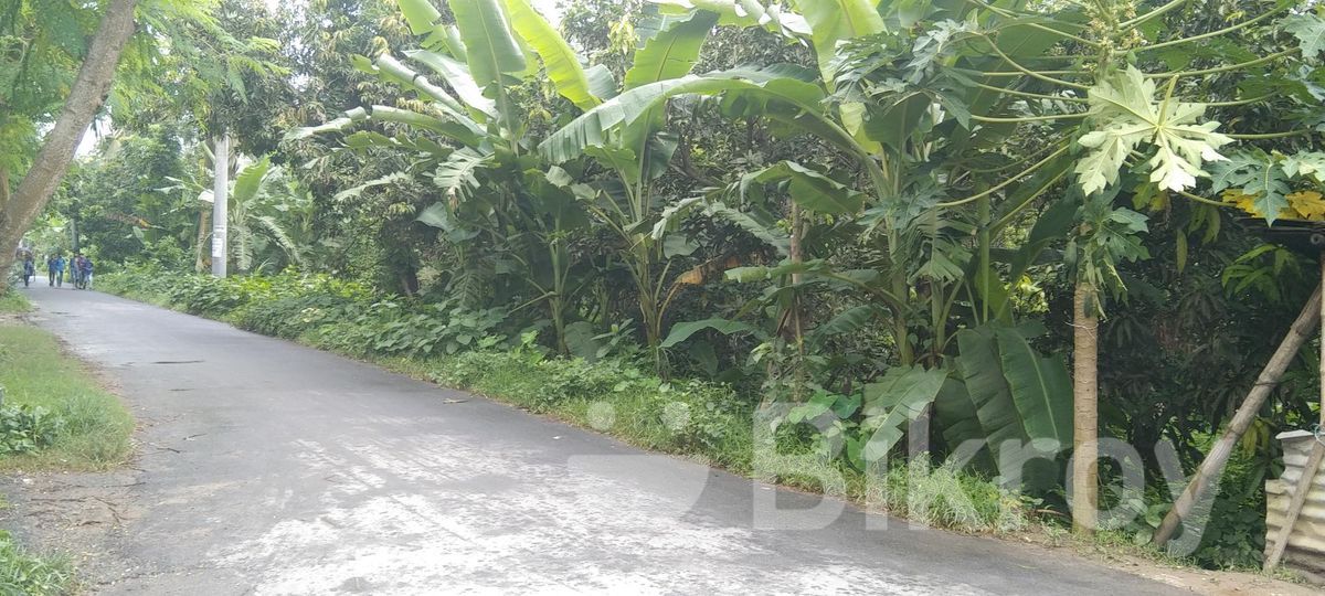 জমি বিক্রি ৭৮ শতাংশ। - Faridpur | Bikroy