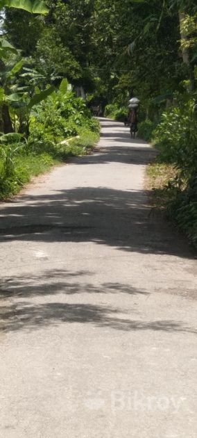 জমি বিক্রি - Faridpur | Bikroy