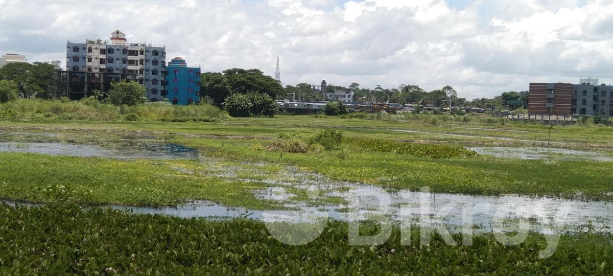জমি বিক্রি করবো ১.৫ বিঘা ভাংগা। - Faridpur | Bikroy