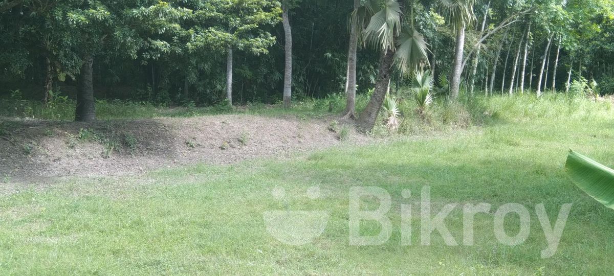 জমি বিক্রি করবো ৬৭ শতাংশ। - Faridpur | Bikroy