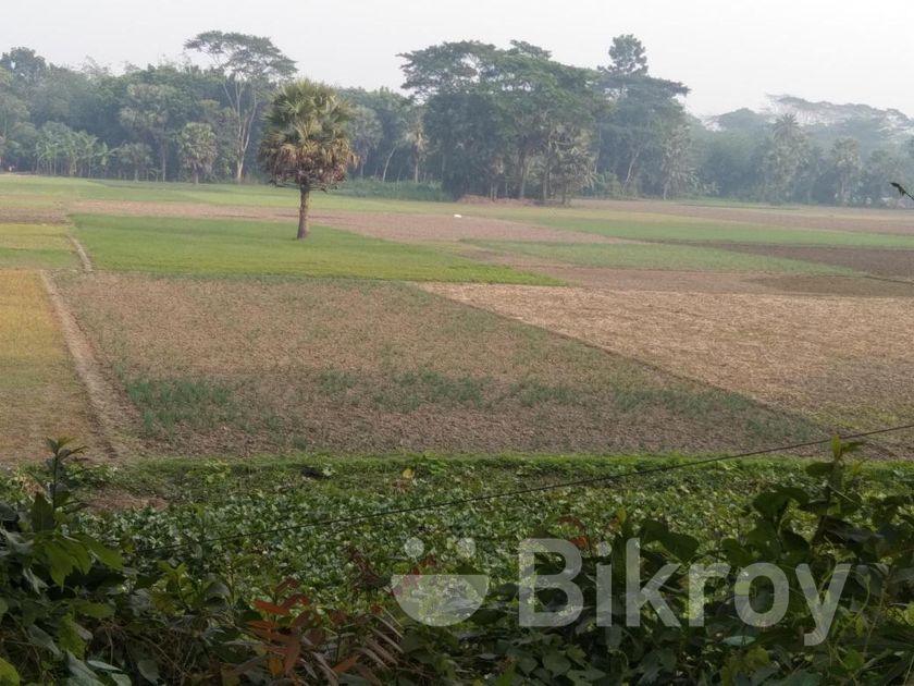 জমি বিক্রি করবো ৯ শতাংশ। - Faridpur | Bikroy