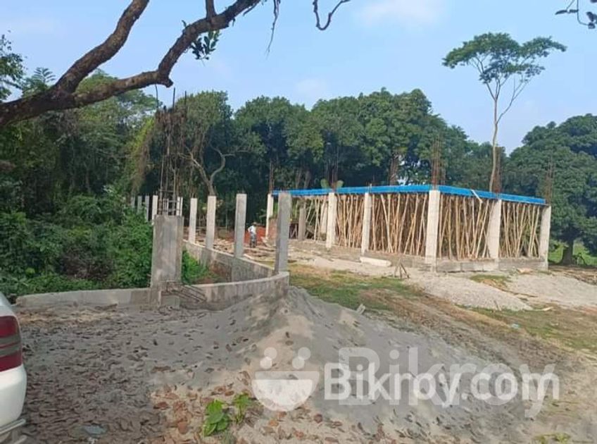 জমি বিক্রয় পূর্বাচল পাইন সিটি | Bikroy