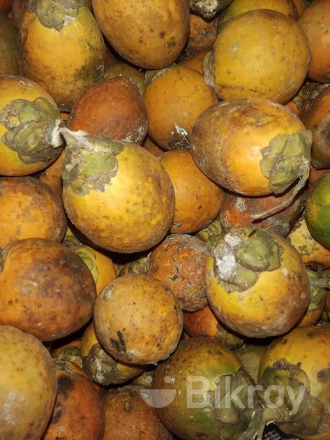 খুব ভালো মানের সুপারি for Sale in Beanibazar | Bikroy