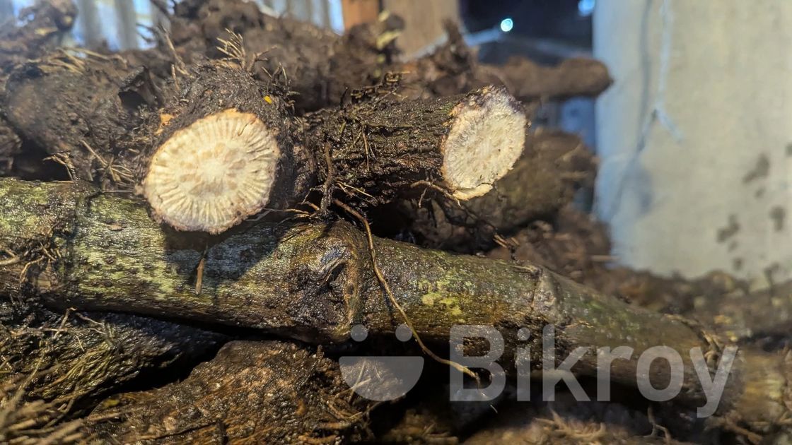 খুলনার বিখ্যাত চুই ঝাল । for Sale in Narail | Bikroy