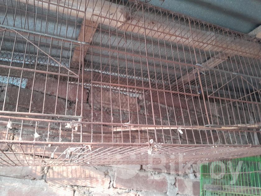 পাখির খাচা বক্স for Sale in Boyra Bazar | Bikroy