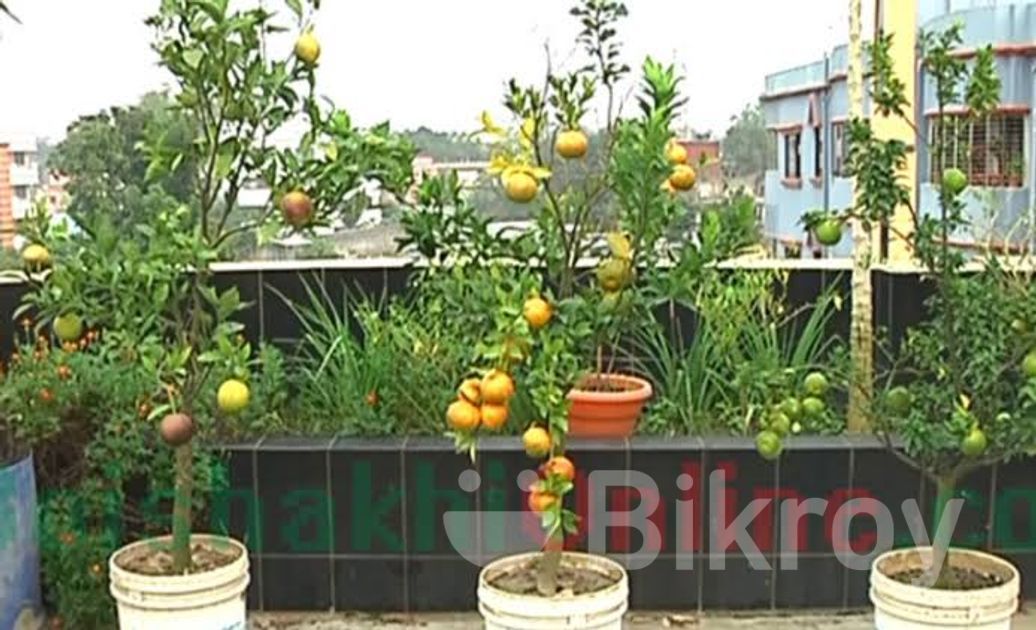 Rooftop sky view laxary Flat From March | Bikroy