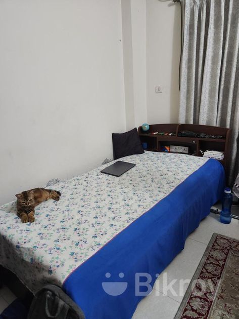 Single / Semi Double Bed - Regal, 7'X4', Condition: Good for Sale in Mirpur | Bikroy